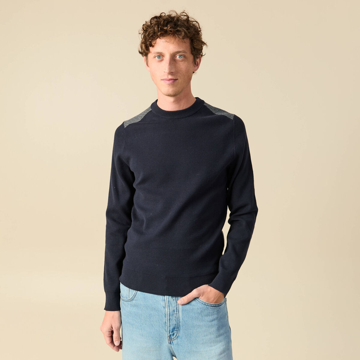 Pull fin col rond manches longues bleu marine homme | Vibs