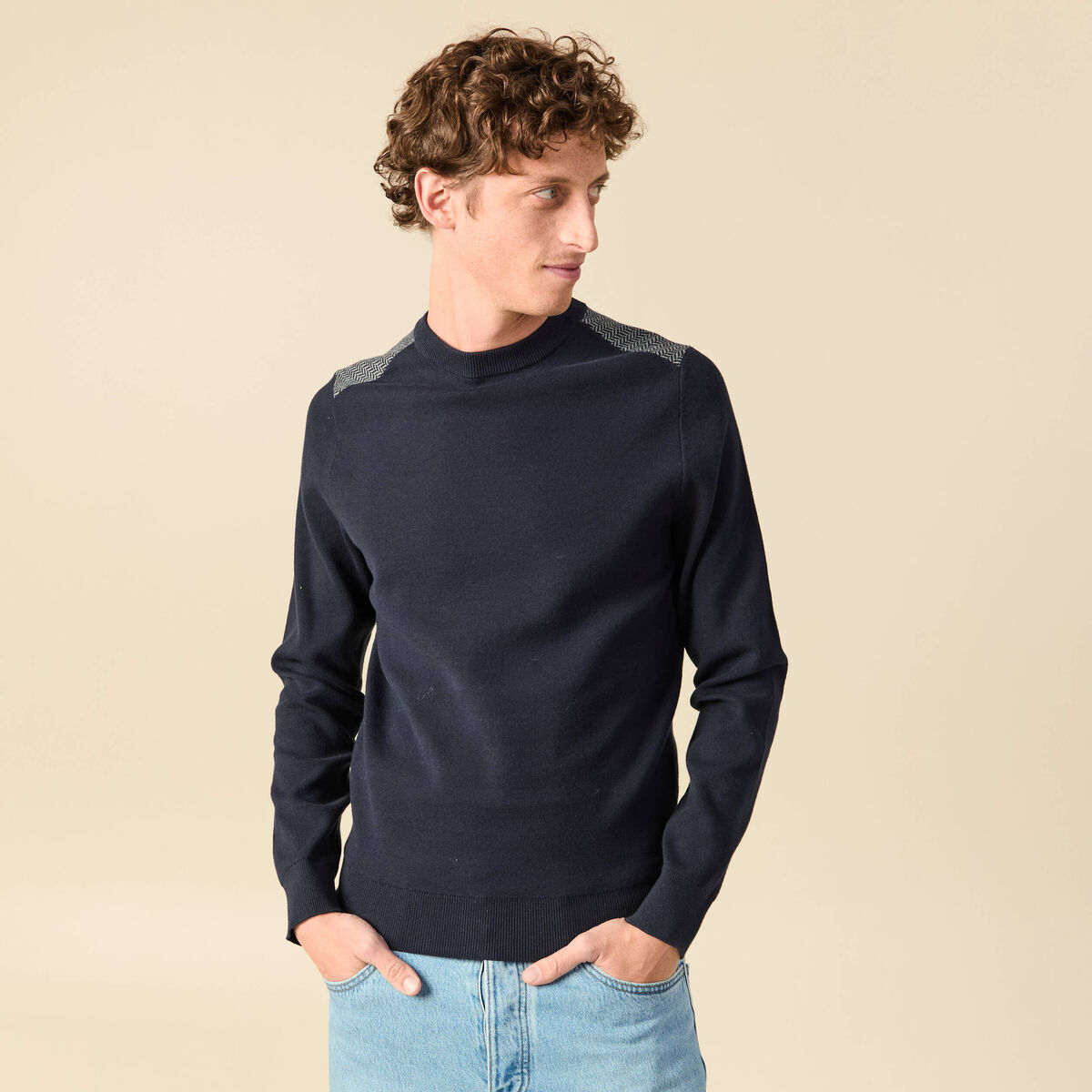 Pull fin col rond manches longues bleu marine homme | Vibs